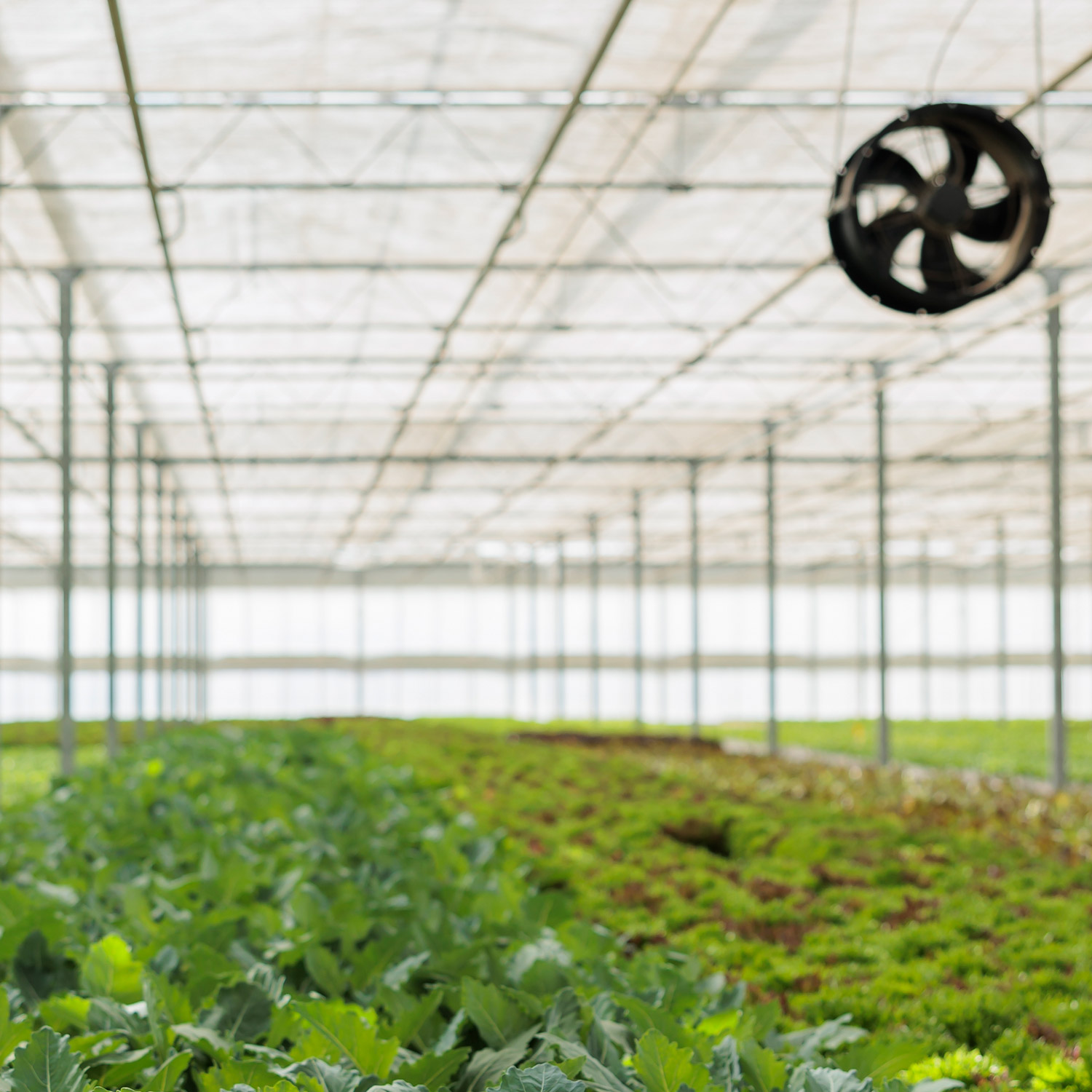 Greenhouse - myDevices