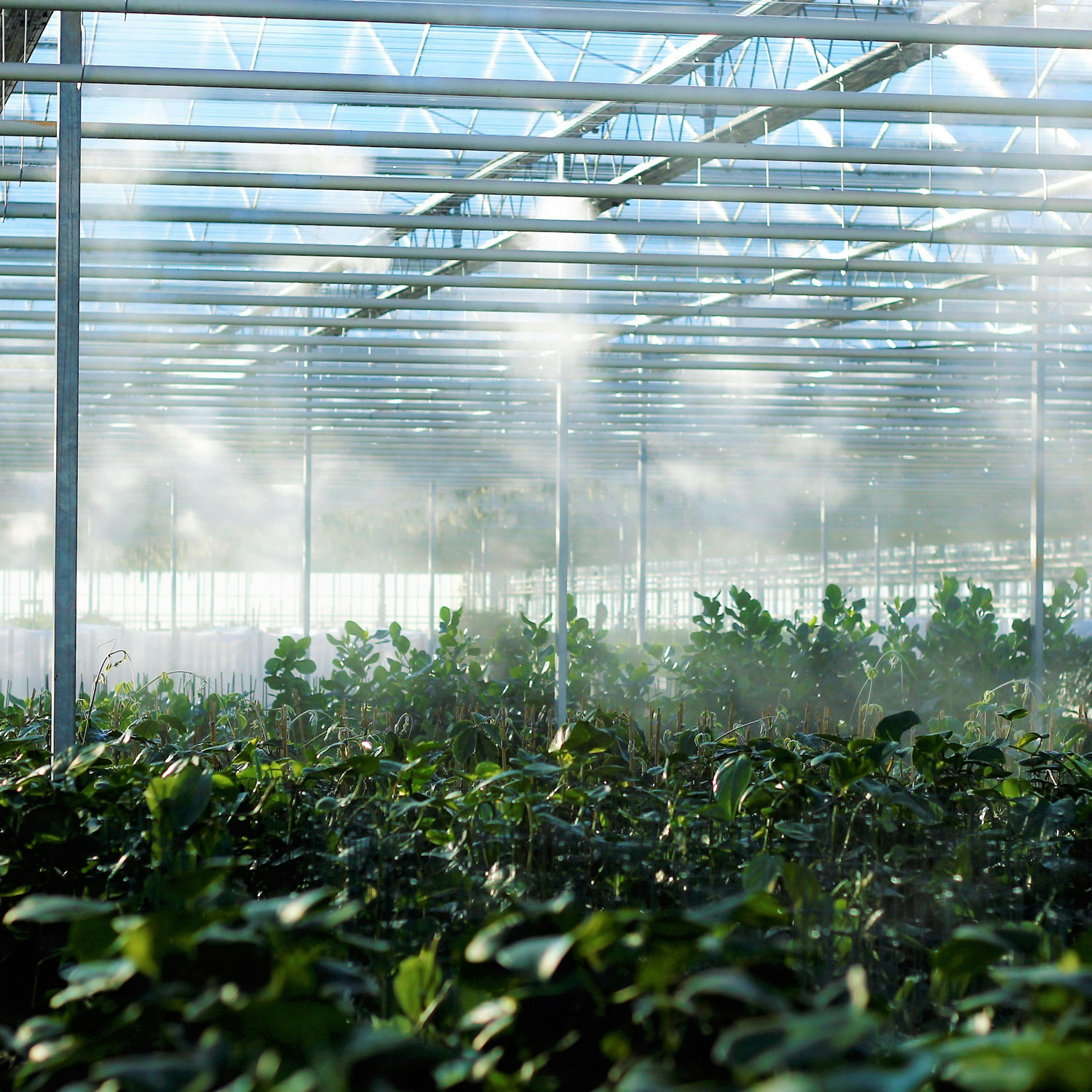 Greenhouse - myDevices