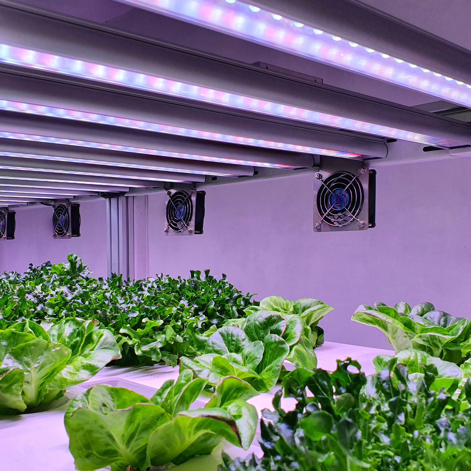 Greenhouse - myDevices